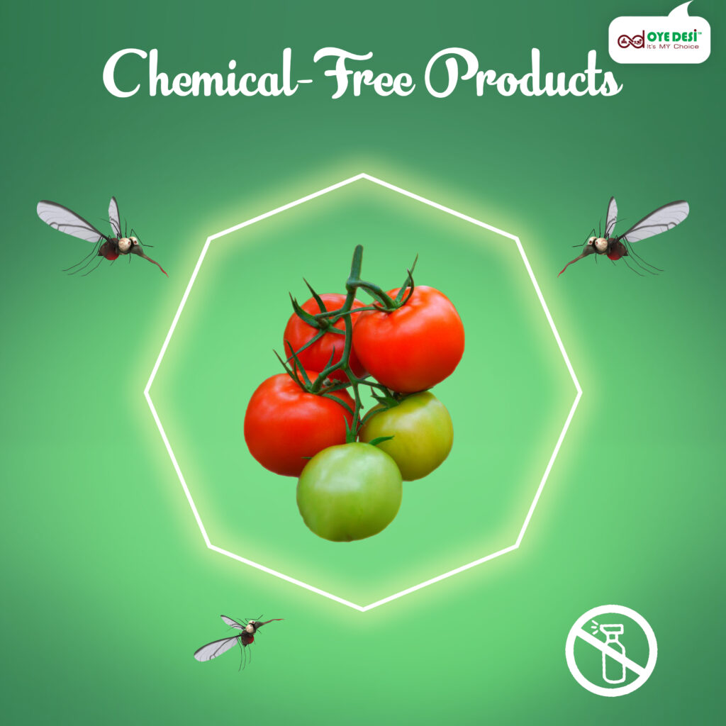 WHY SHOULD CONSUME CHEMICAL FREE ORGANIC VEGETABLES AND FRUITS
